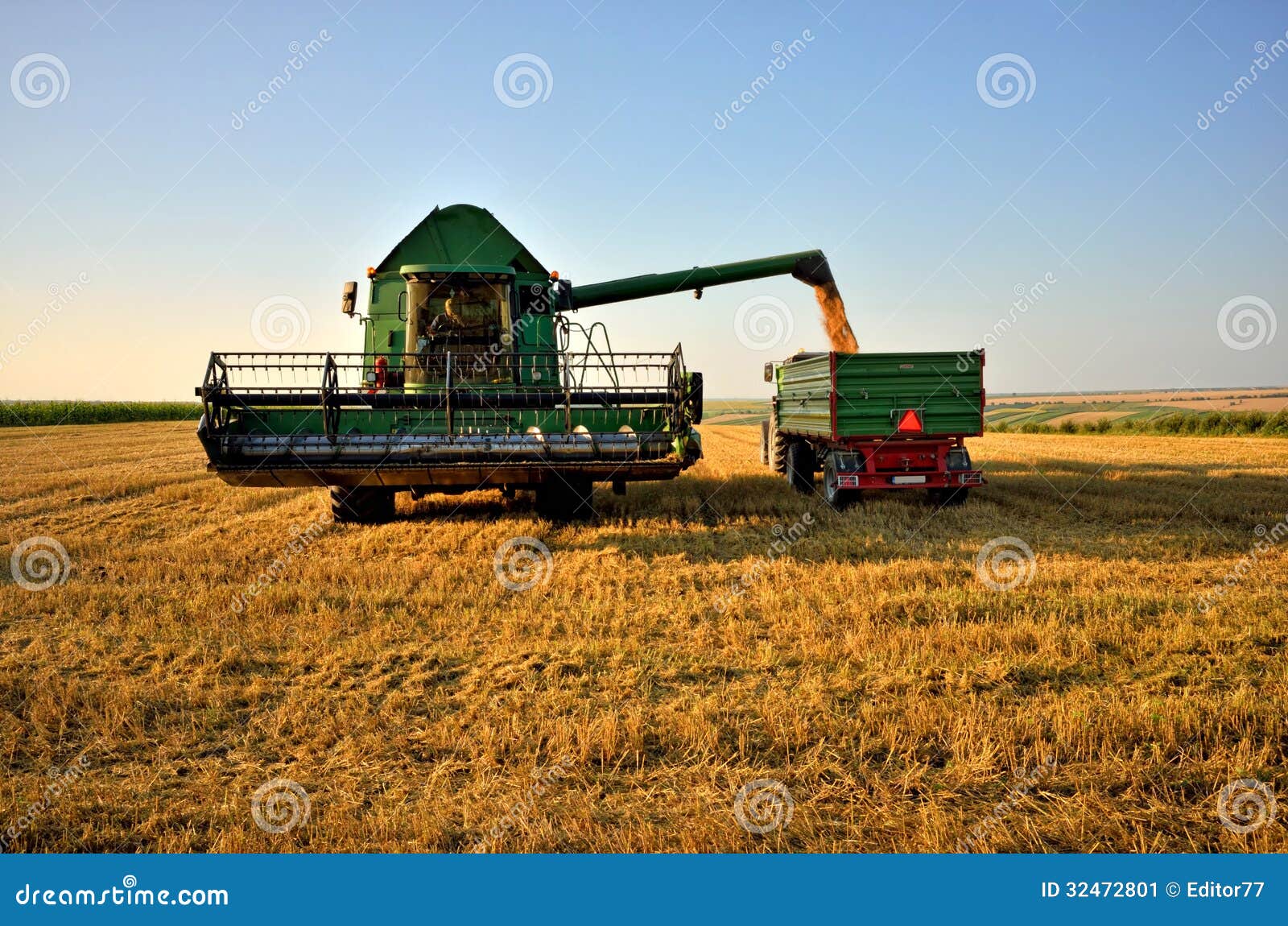 Carga De La Cosechadora La Cosecha En Tractor Remolque Imagen de ...