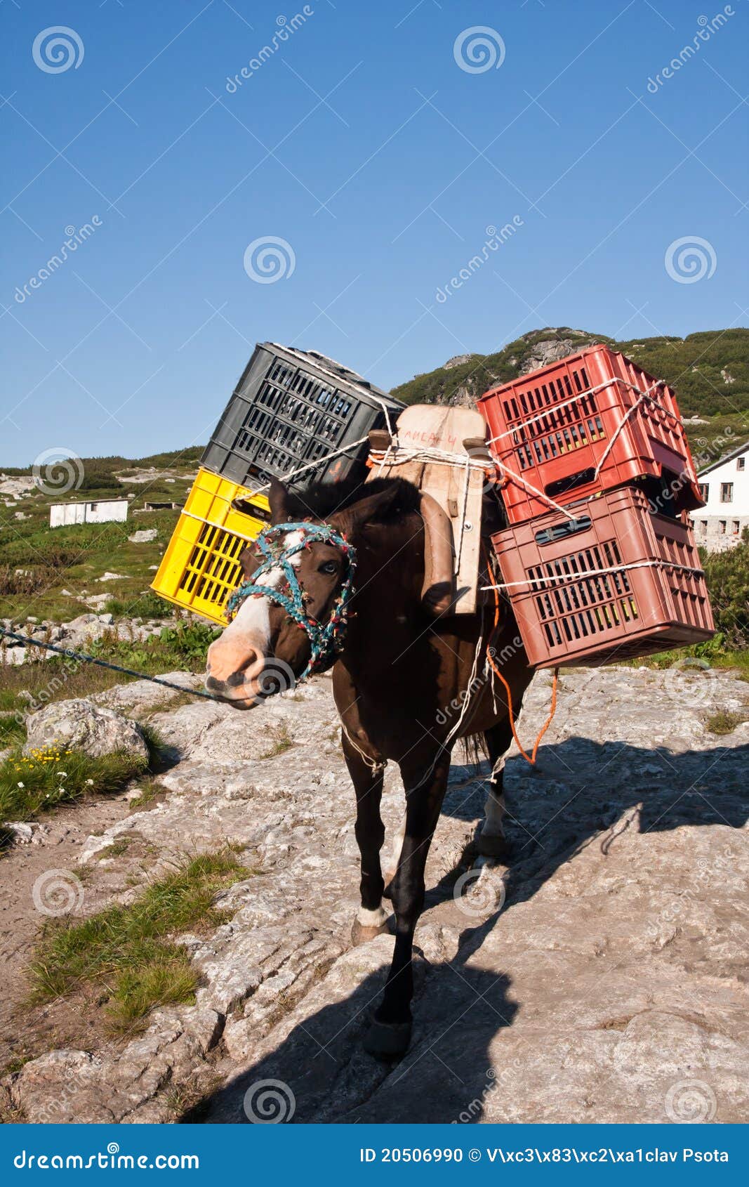 Cargo by horse stock photo. Image of transport, transportation - 20506990