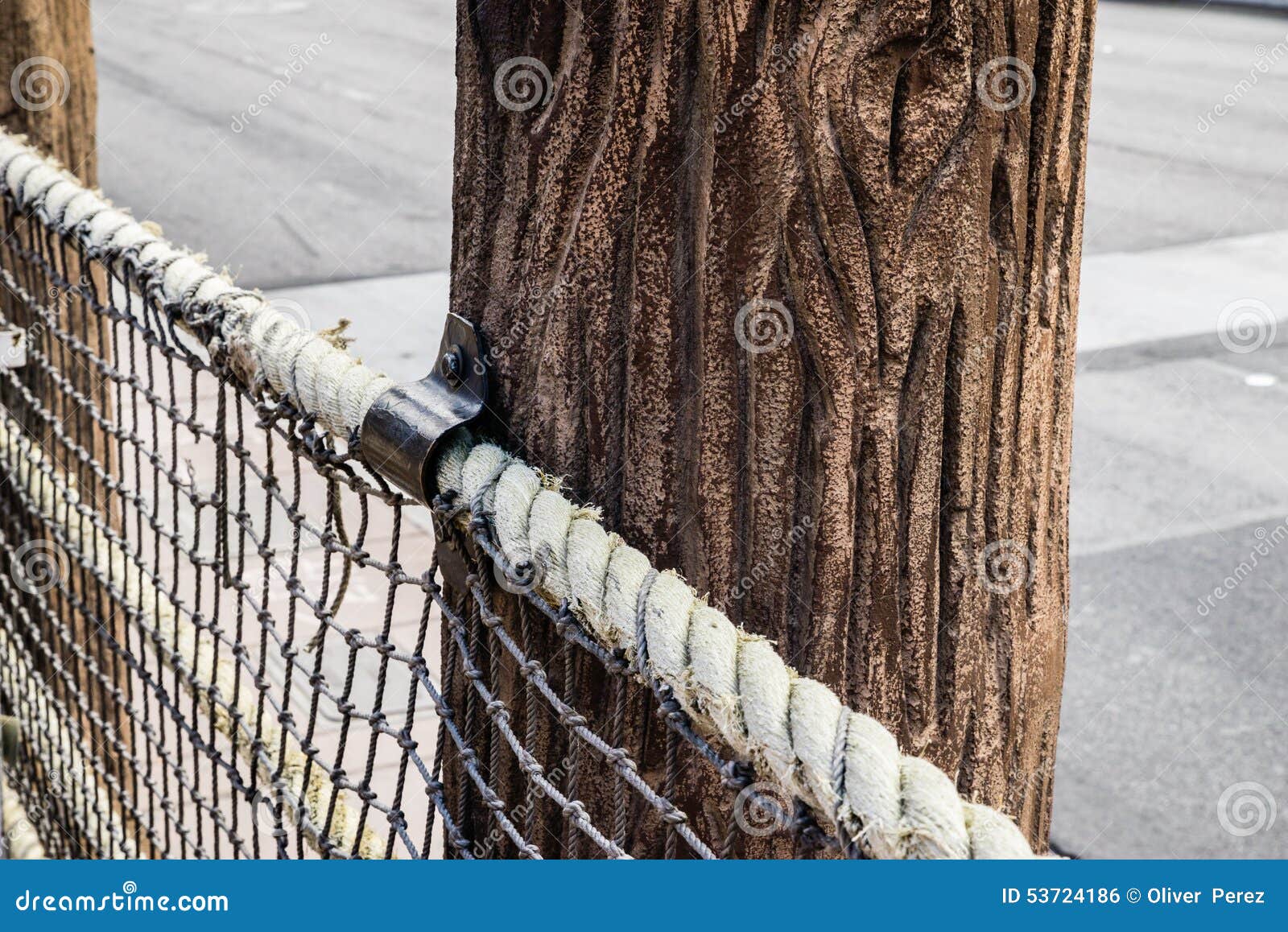 Cargo net stock photo. Image of rope, street, tree, cargo - 53724186