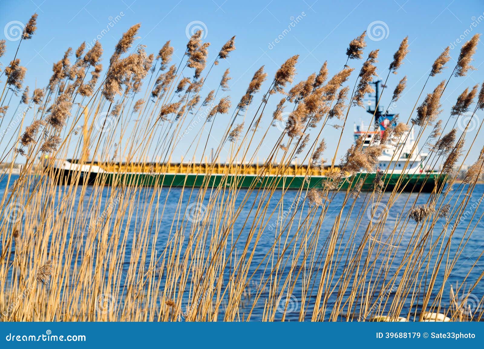 Cargo Ship on River - through the Reeds Stock Image - Image of ...