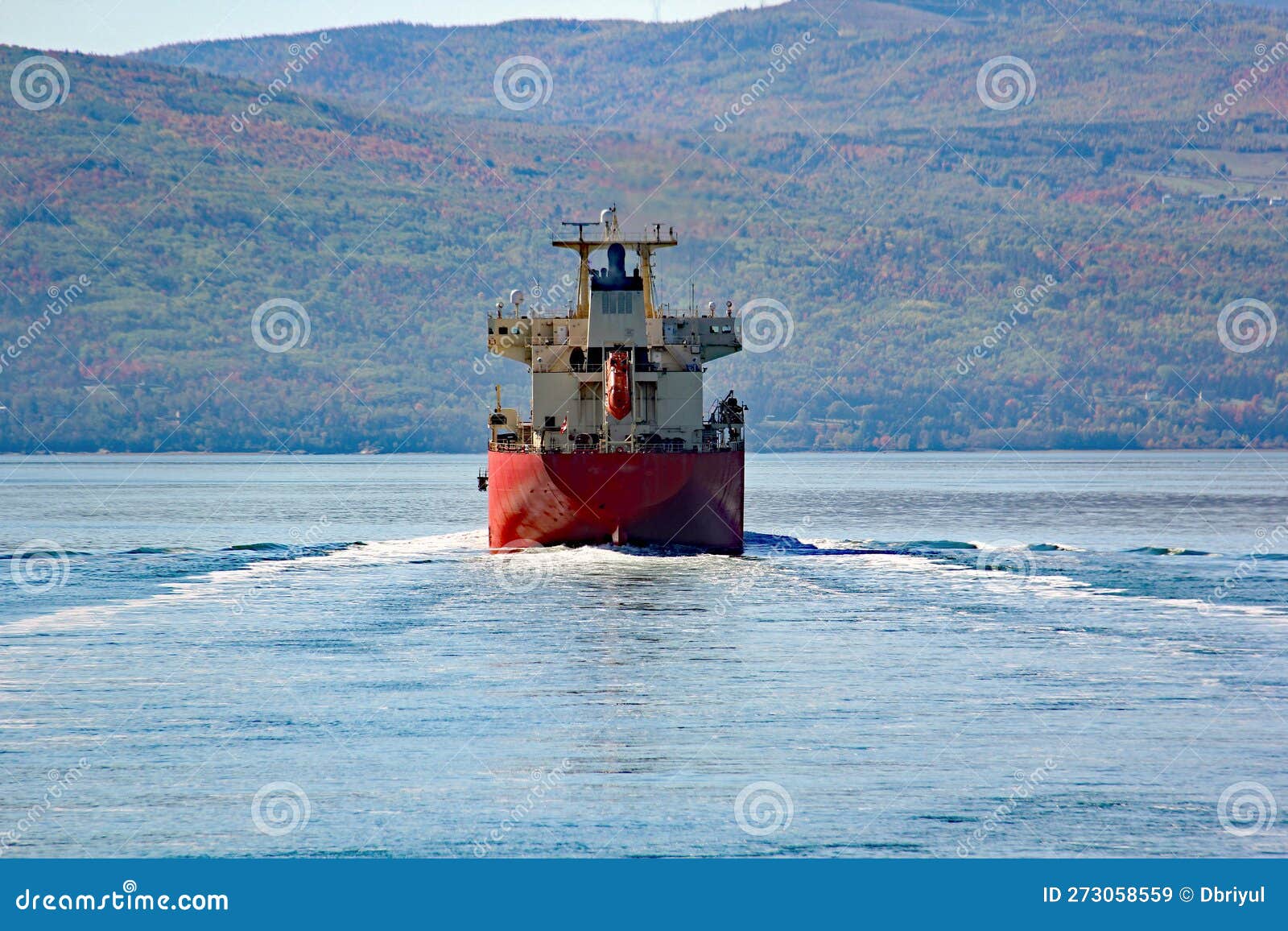 Cargo Ships in the St-Lawrence Seaway Path Stock Image - Image of ...
