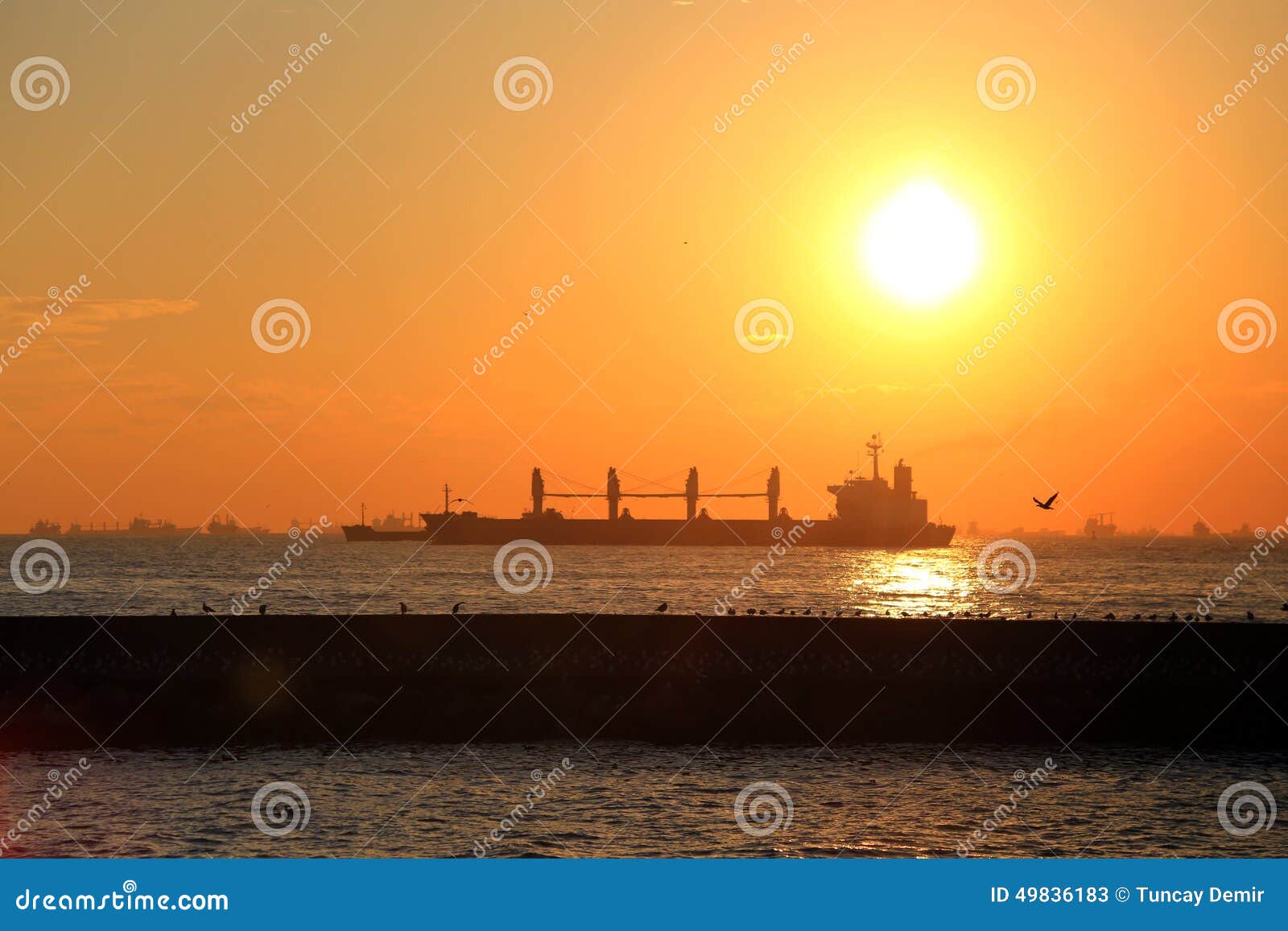 Cargo ships at sunset stock image. Image of boat, coastline - 49836183