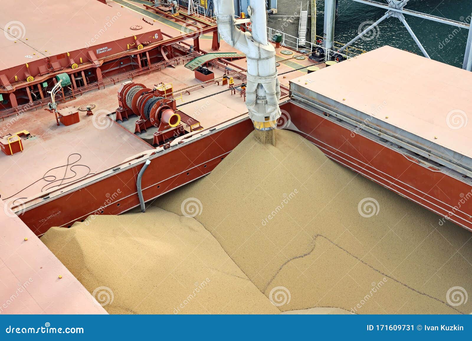 Cargo Terminal for Unloading Grain Cargo and Containers by Shore Cranes ...