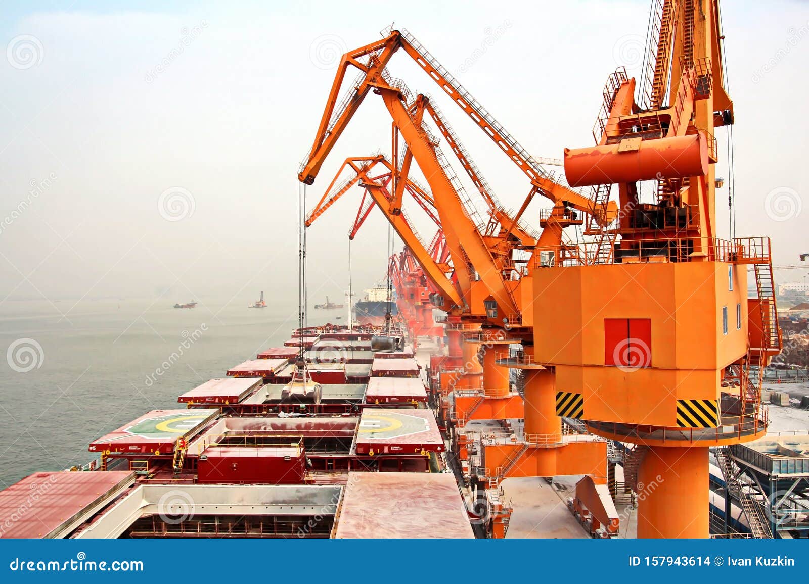Cargo Terminal for Unloading Grain Cargo and Containers by Shore Cranes ...