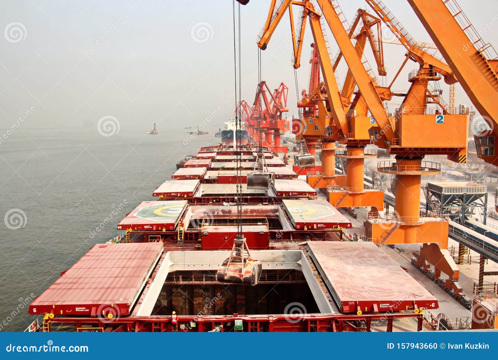 Cargo Terminal for Unloading Grain Cargo and Containers by Shore Cranes ...