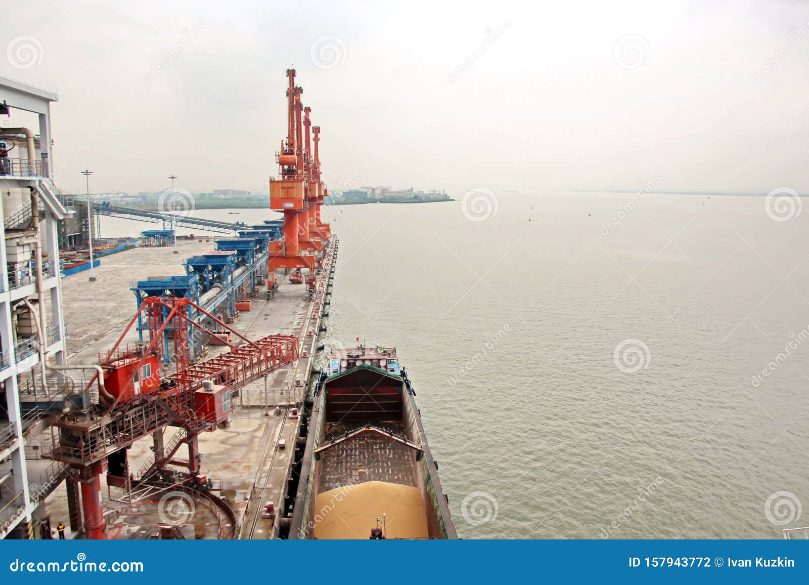 Cargo Terminal for Unloading Grain Cargo and Containers by Shore Cranes ...