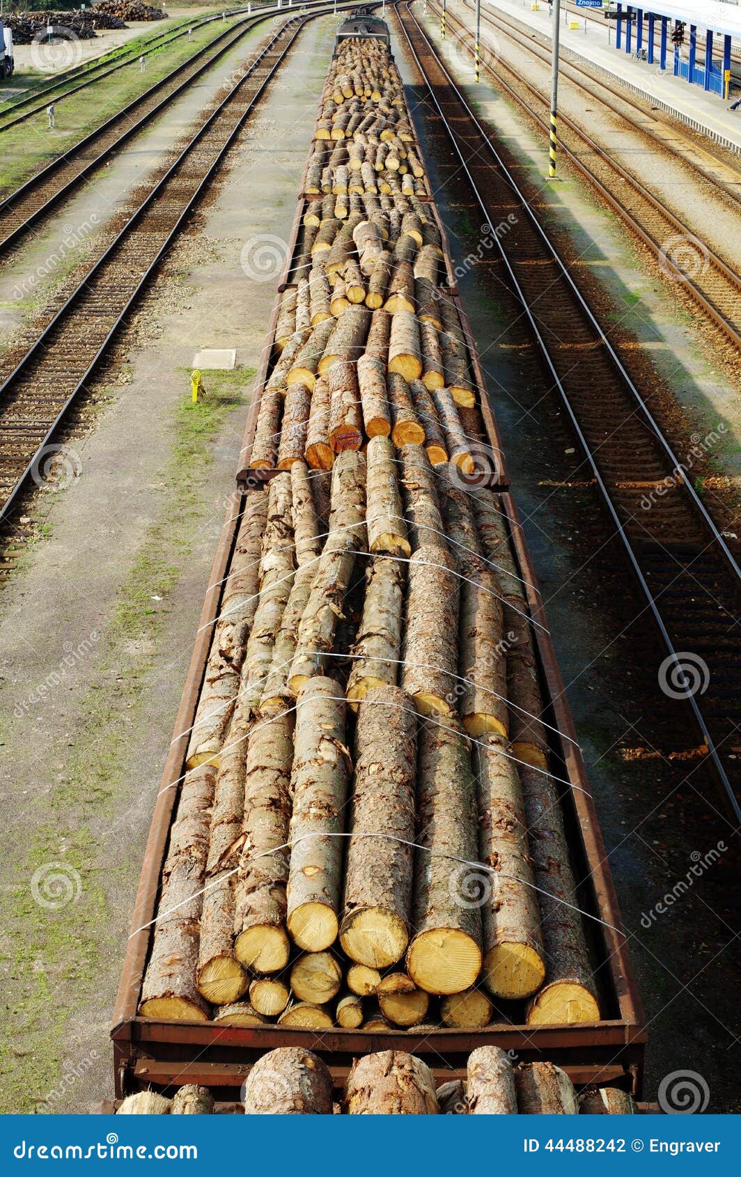 Cargo timber train stock photo. Image of forest, trunk - 44488242