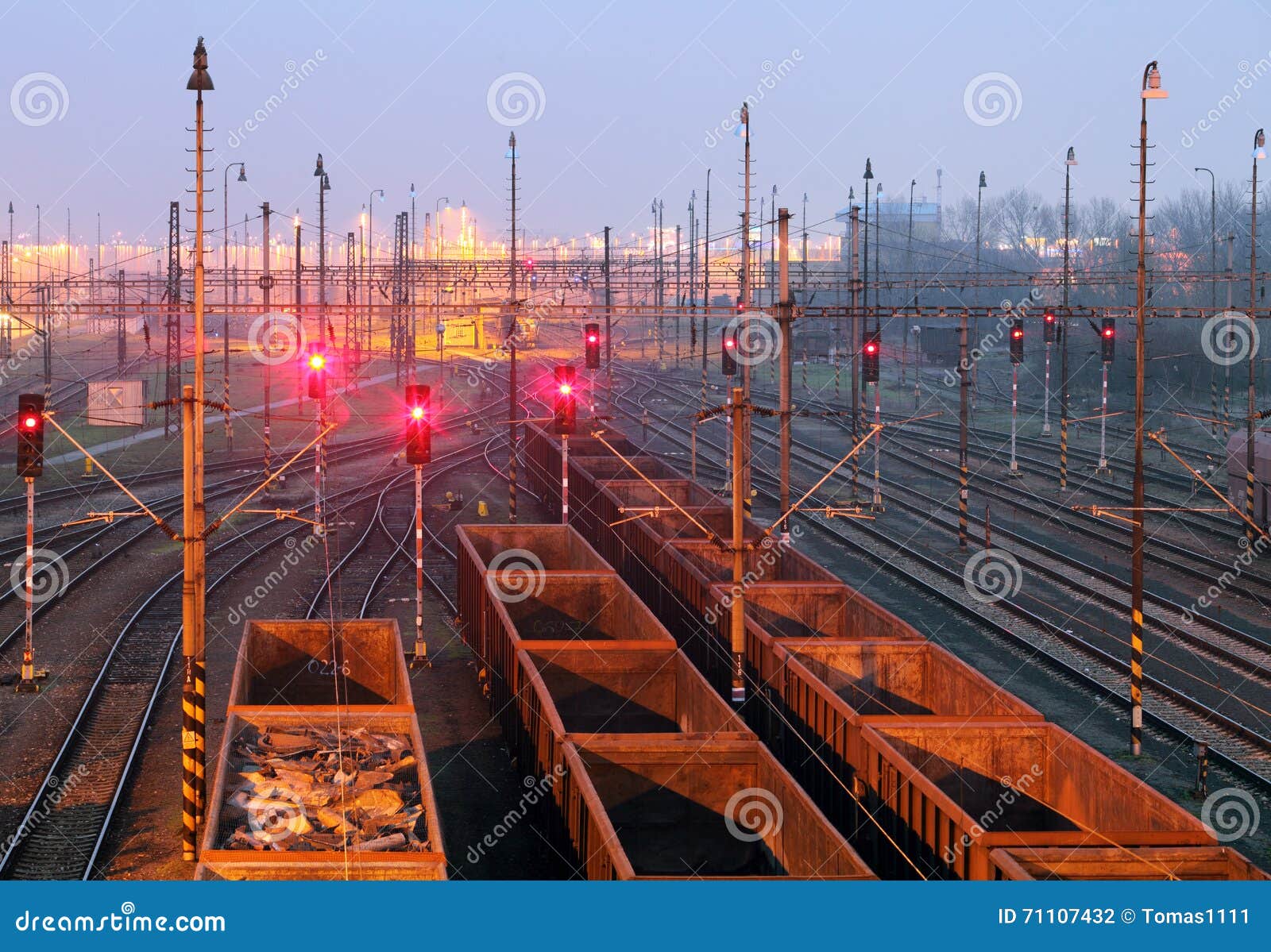 Cargo Train Platform with Container Stock Photo - Image of railroad ...