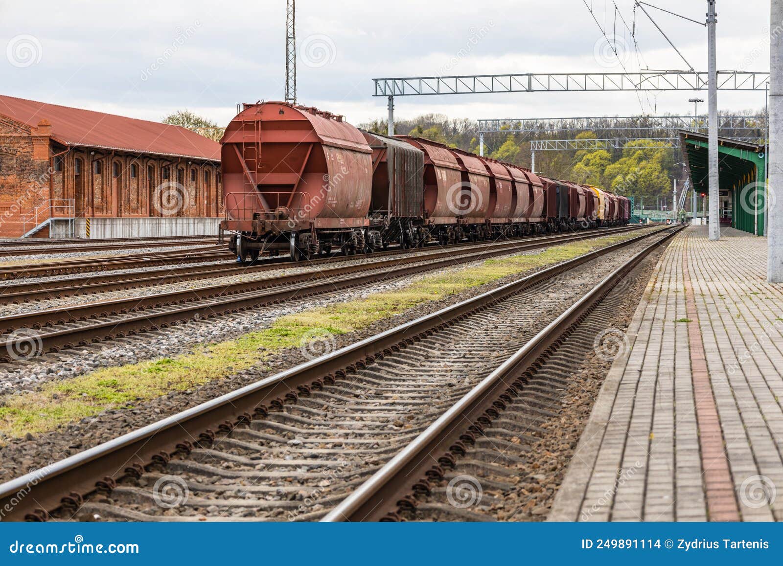 Cargo Train Platform with the Container. Railroad Depot Stock Photo ...