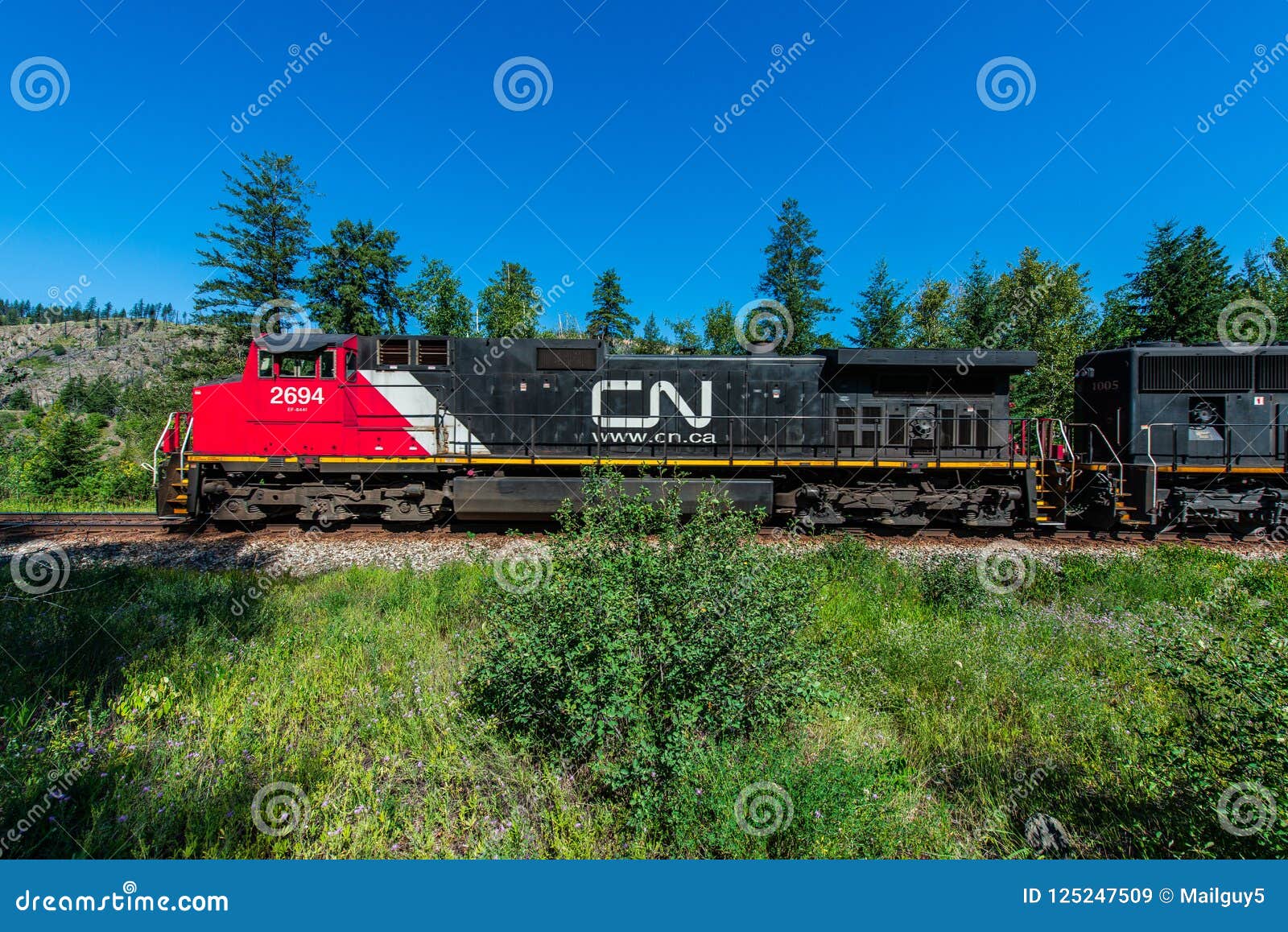 Cargo Train - British Columbia Canada Editorial Stock Image - Image of ...