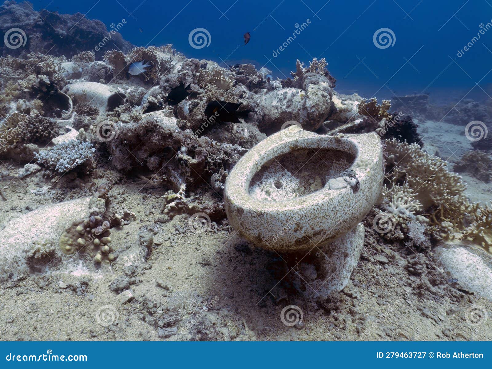 Cargo from the Wreck of the Yolanda at the Tip of the Sinai Peninsula ...