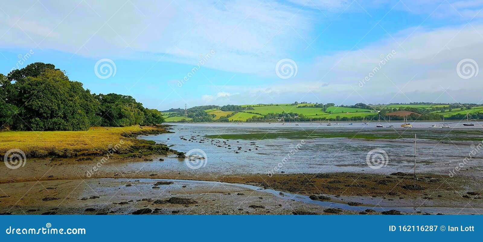 Cargreen, River Tamar , Cornwall Stock Image - Image of nature, travel ...