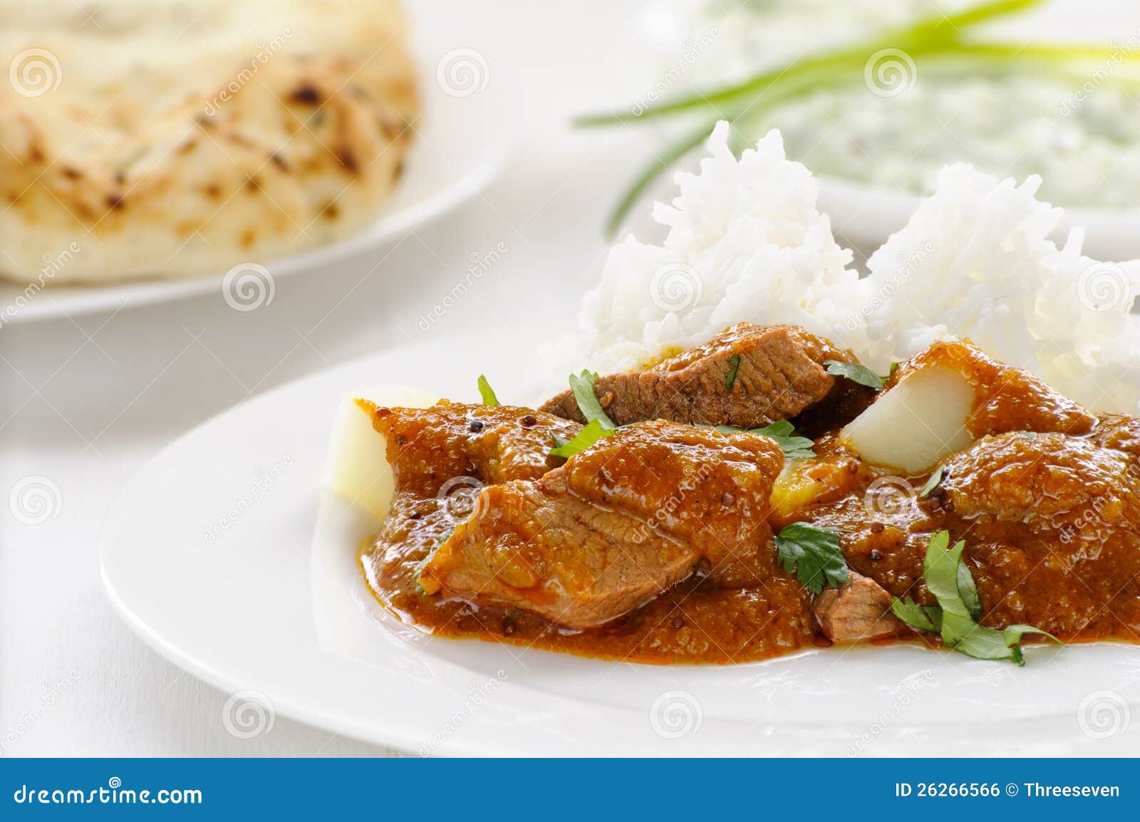 Cari d'agneau de Vindaloo photo stock. Image du nourriture - 26266566