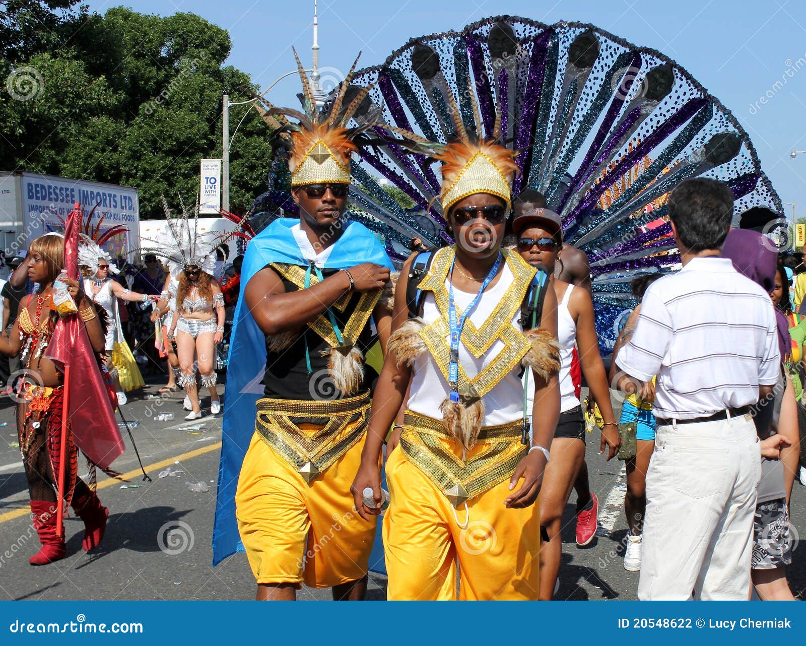 Caribana Parade editorial photography. Image of colorful - 20548622