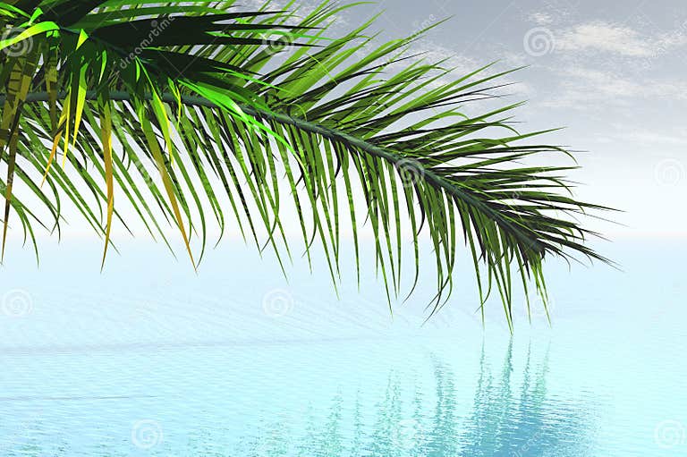 Caribbean stock illustration. Illustration of beach, tropics - 2963958