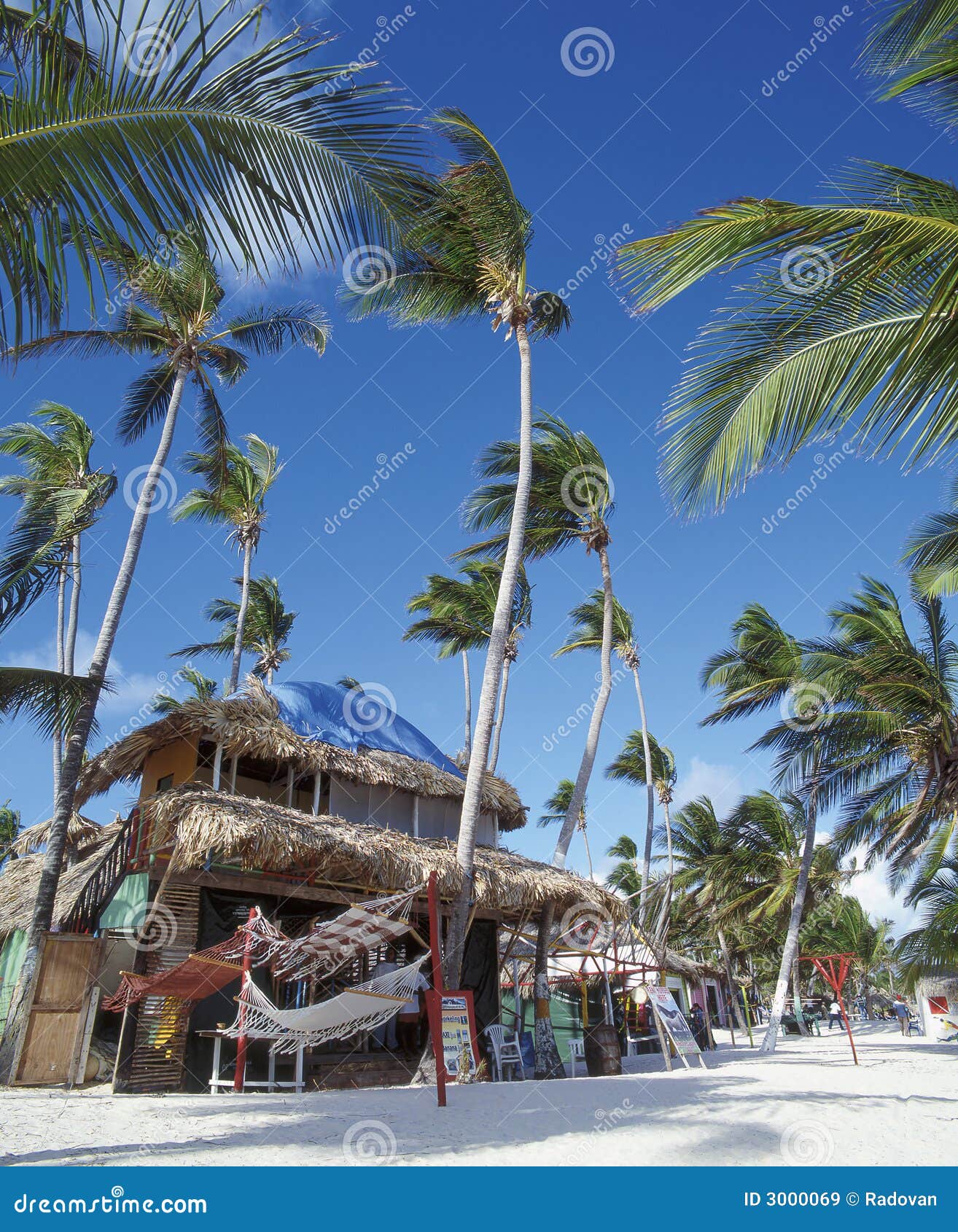 Caribbean architecture stock image. Image of palms, antilles - 3000069