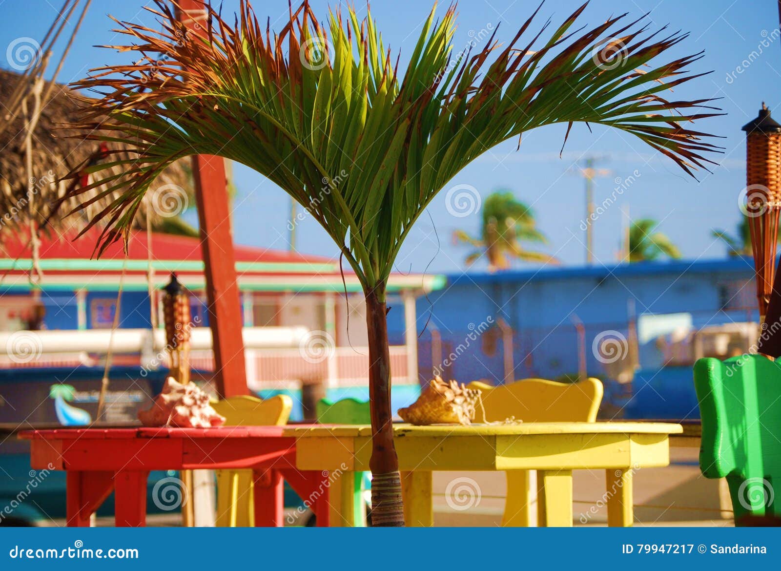 Caribbean Beach Bar stock image. Image of beach, caribbean - 79947217