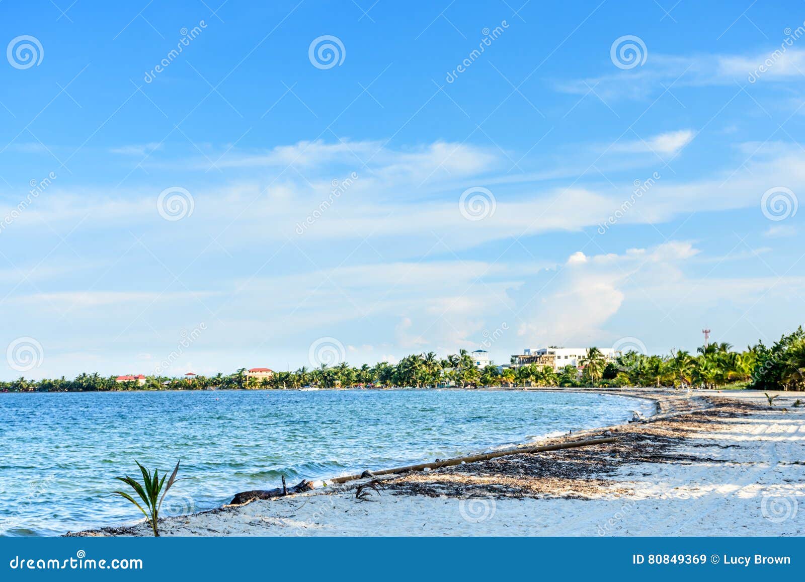 Caribbean beach in Belize stock image. Image of oceanfront - 80849369