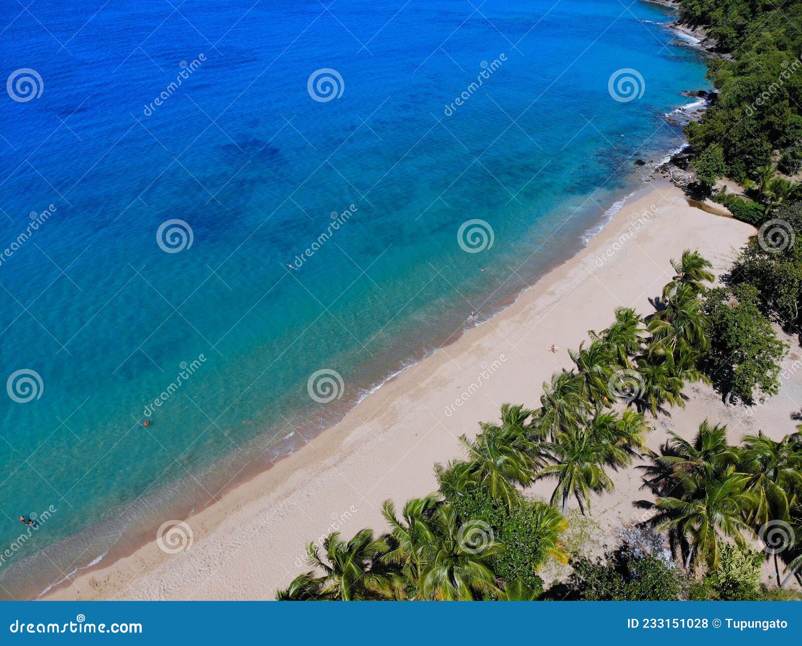 Caribbean beach drone view stock photo. Image of serenity - 233151028