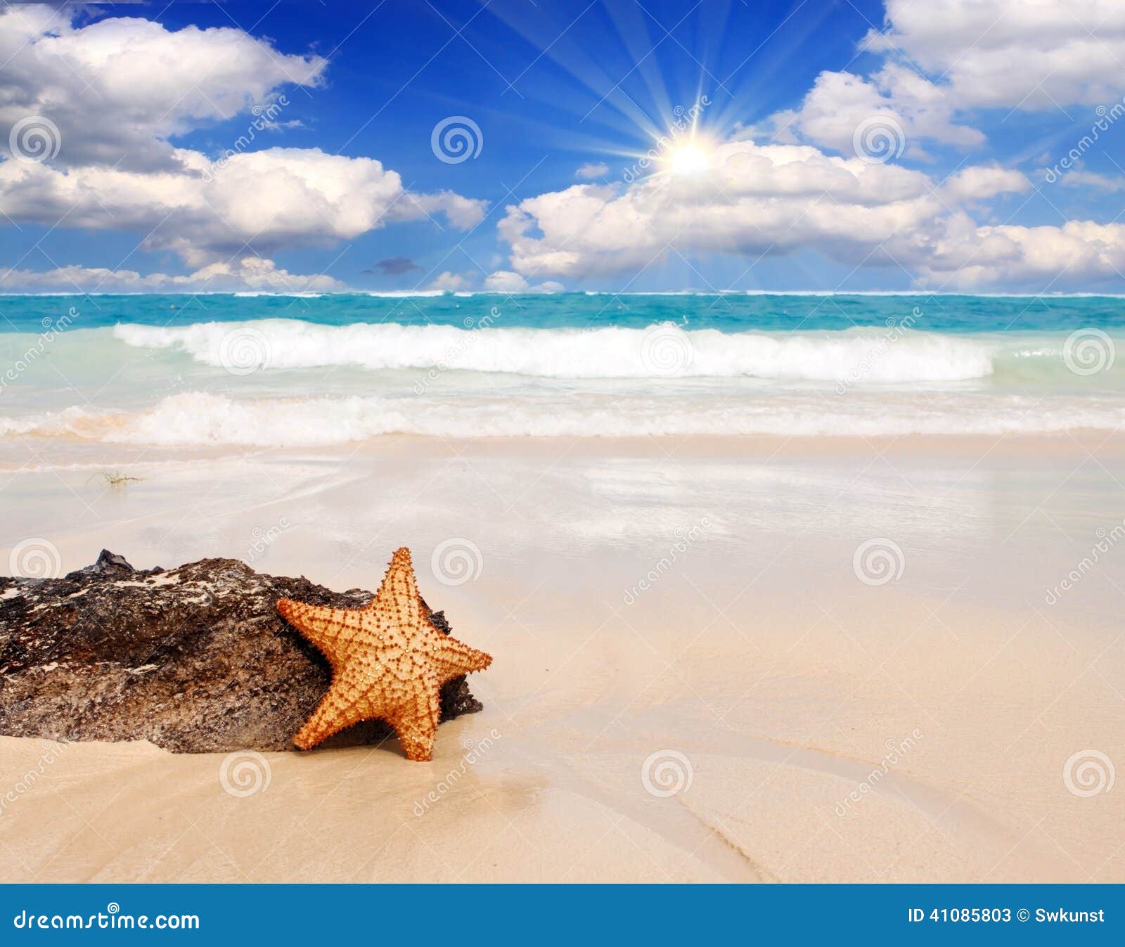 Caribbean Beach and Large Starfish. Stock Image - Image of caribbean ...
