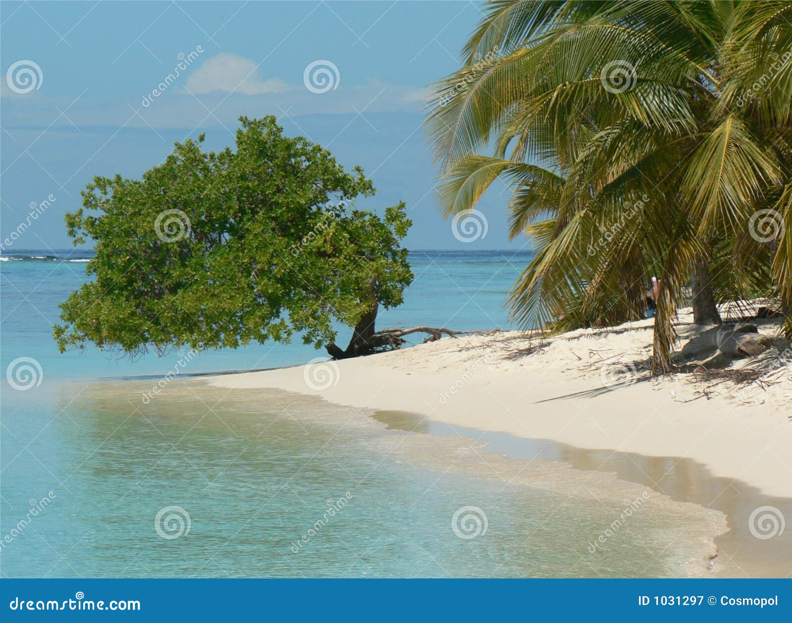 Caribbean Beach on a Sunny Summer Day Stock Image - Image of sand ...
