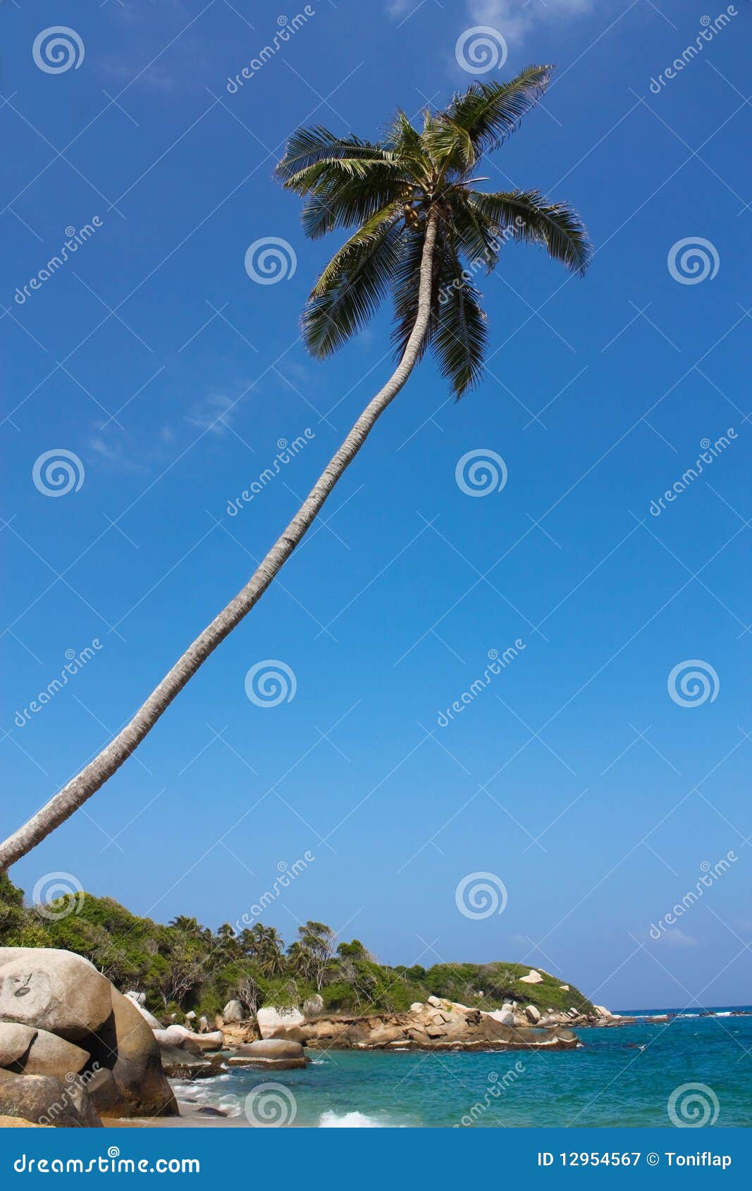 Caribbean Beach with Tropical Forest. Colombia Stock Image - Image of ...