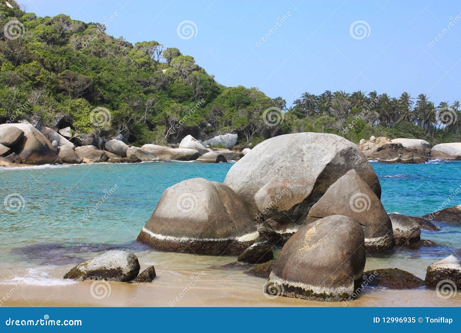Caribbean Beach with Tropical Forest. Colombia Stock Image - Image of ...