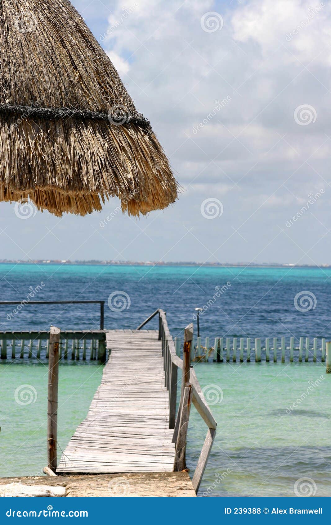 Caribbean Boast Dock stock photo. Image of palm, alone - 239388
