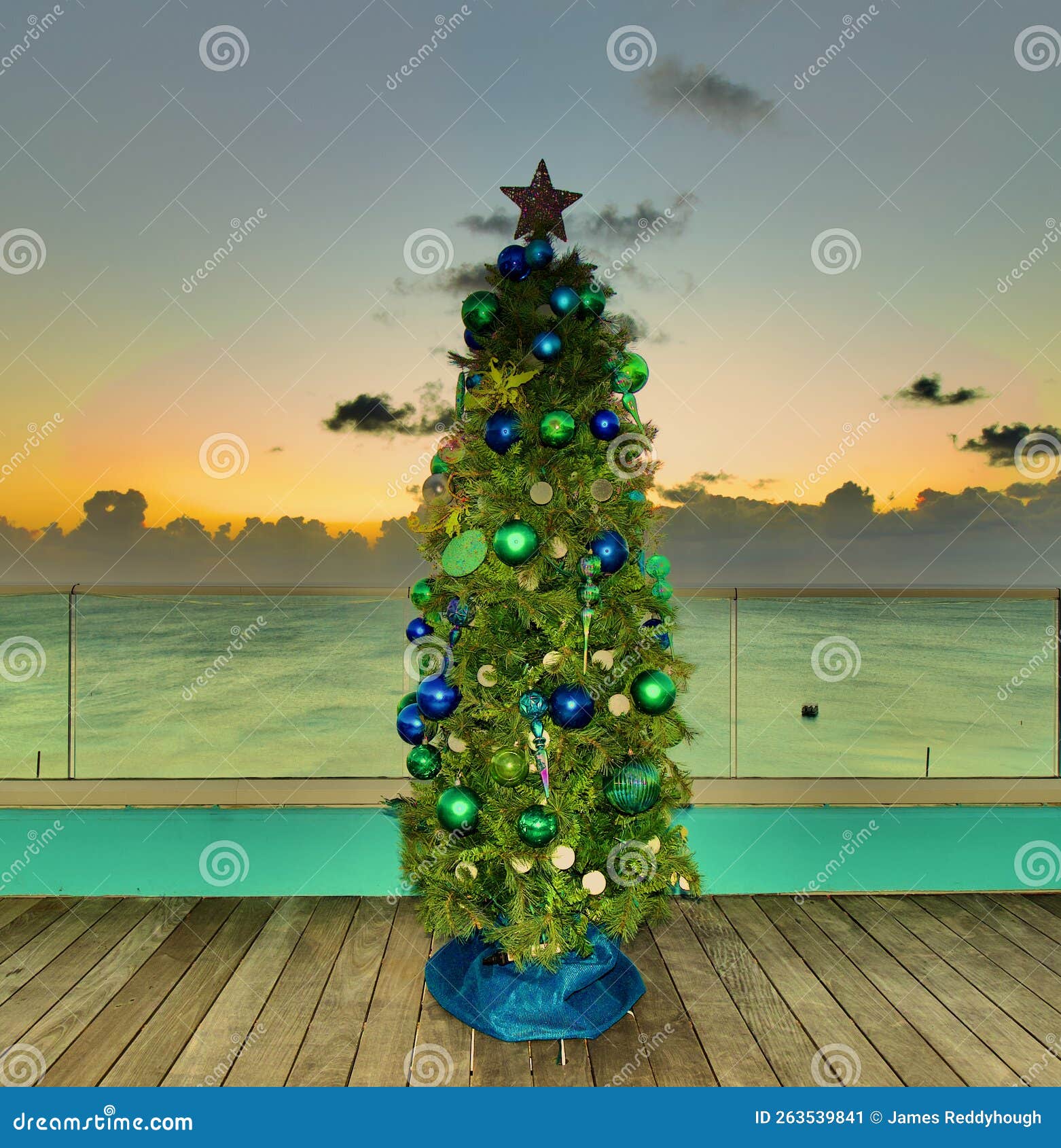 A Caribbean Christmas stock image. Image of noel, tree - 263539841