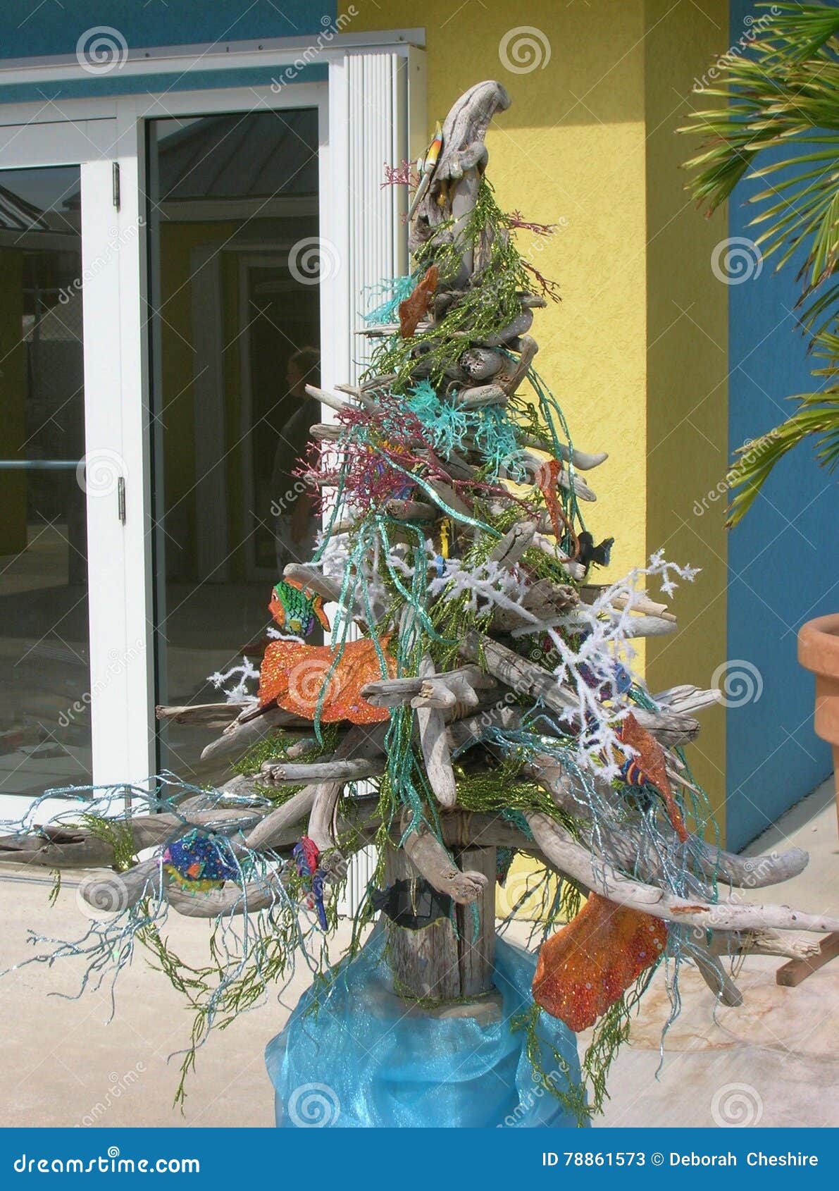 Caribbean Christmas Tree stock image. Image of walls - 78861573