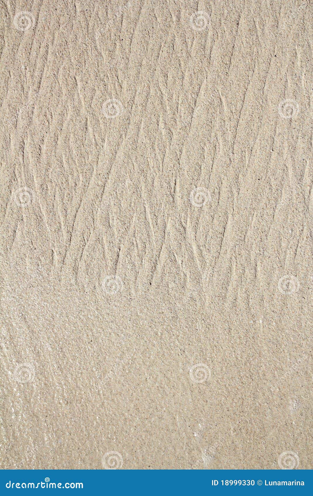 Caribbean Clear Beach Sand Texture Shore Stock Photo - Image of ...