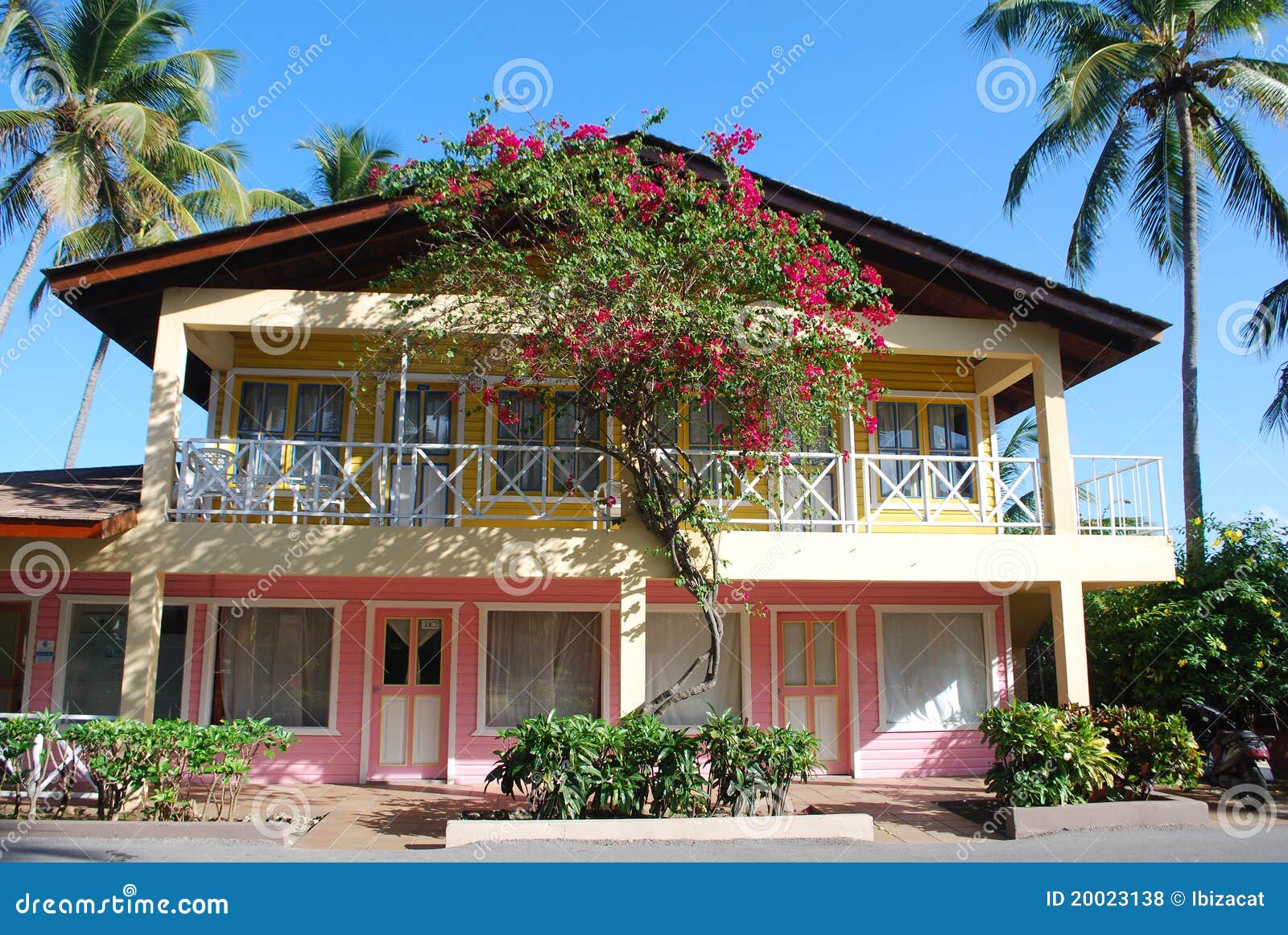 Caribbean home stock photo. Image of palms, caribbean - 20023138