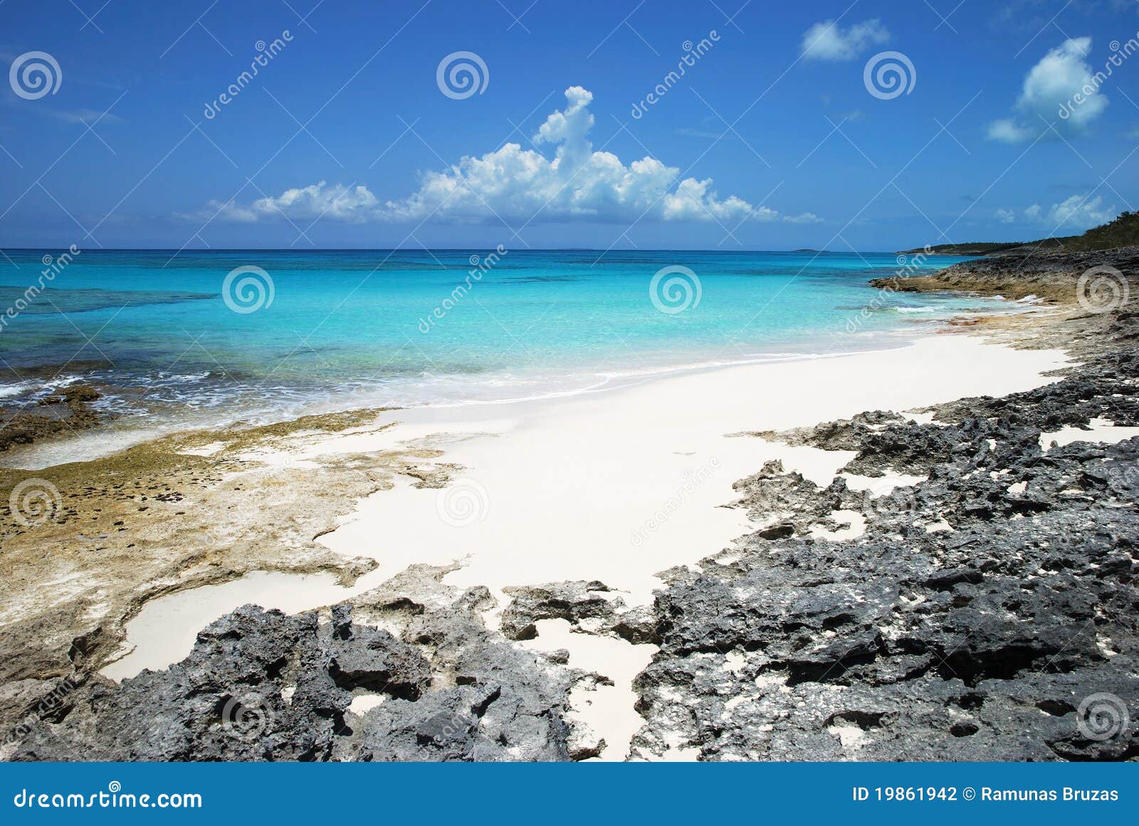 Caribbean Landscape stock photo. Image of nature, landscape - 19861942
