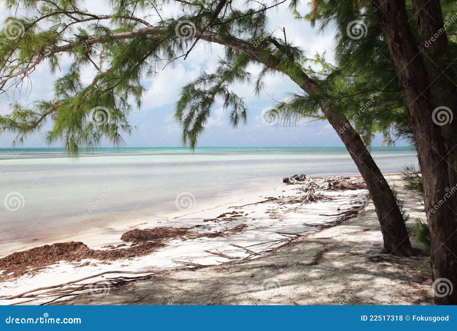 Caribbean landscape stock photo. Image of island, salt - 22517318