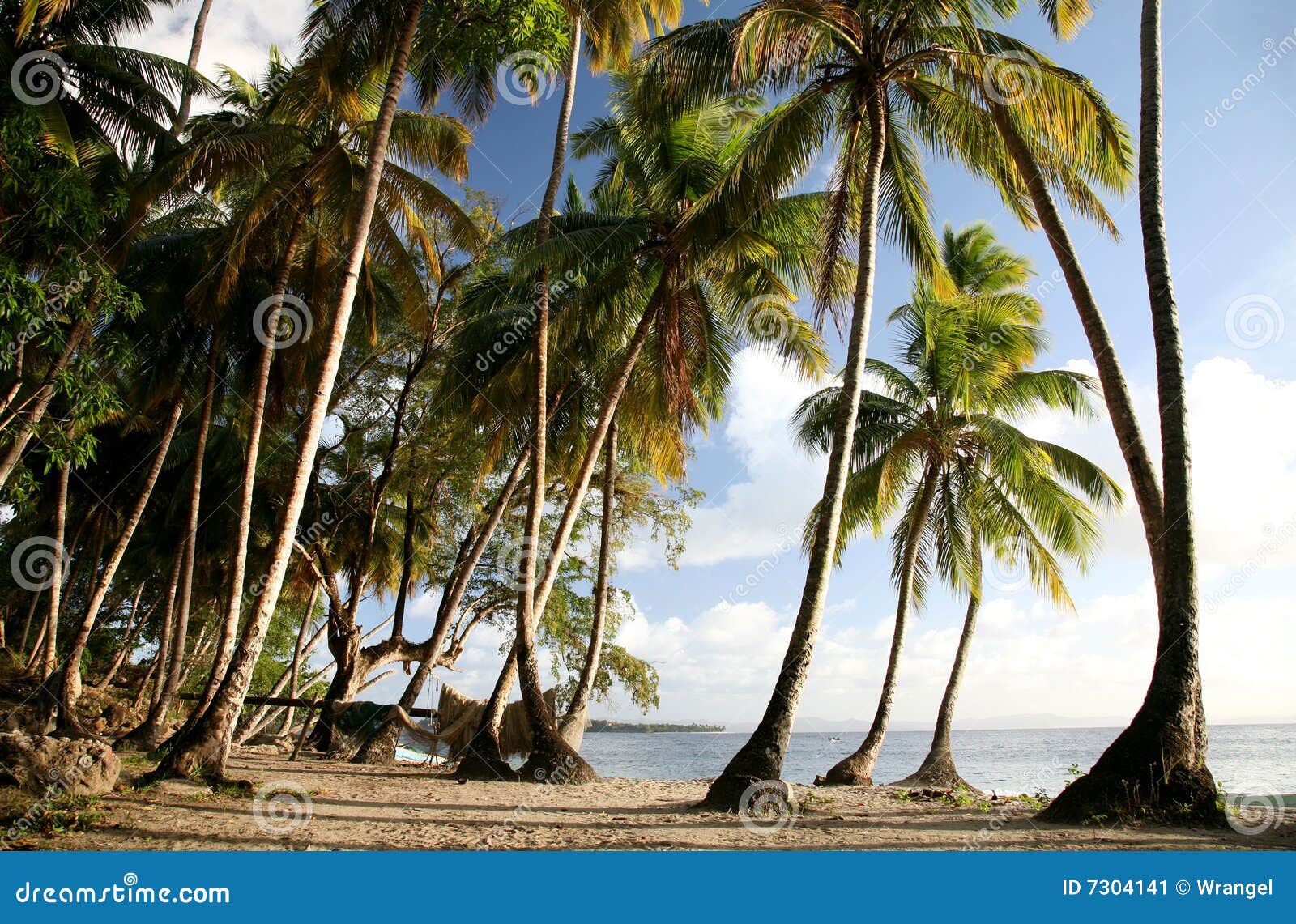 Caribbean Landscape stock image. Image of republic, location - 7304141