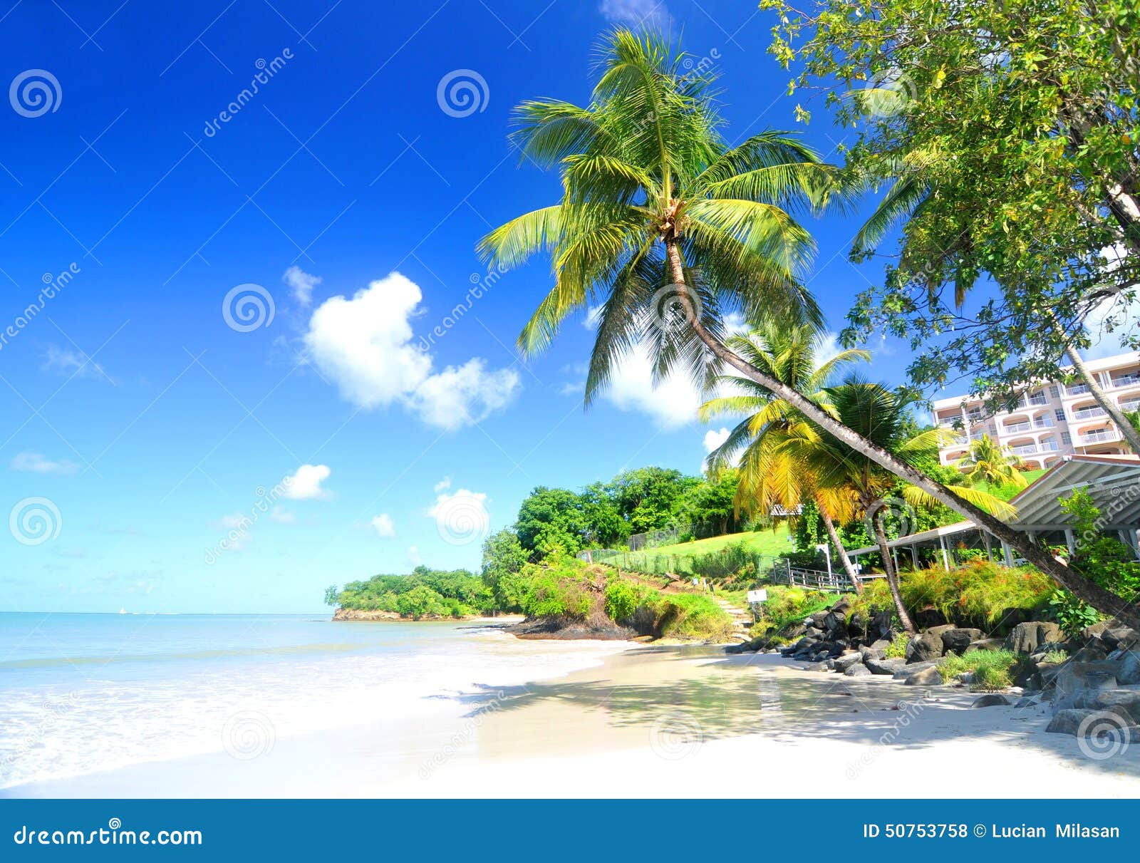 Caribbean stock photo. Image of grenada, landscape, dominica - 50753758
