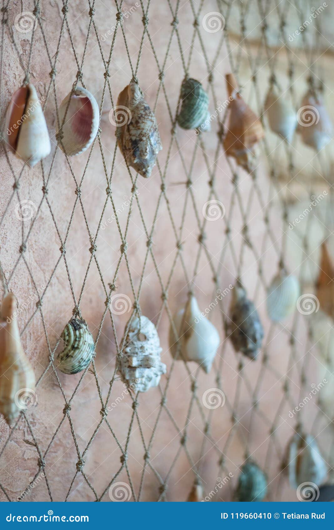 Caribbean Seashell Decor, Grid and Seashells Stock Photo - Image of ...
