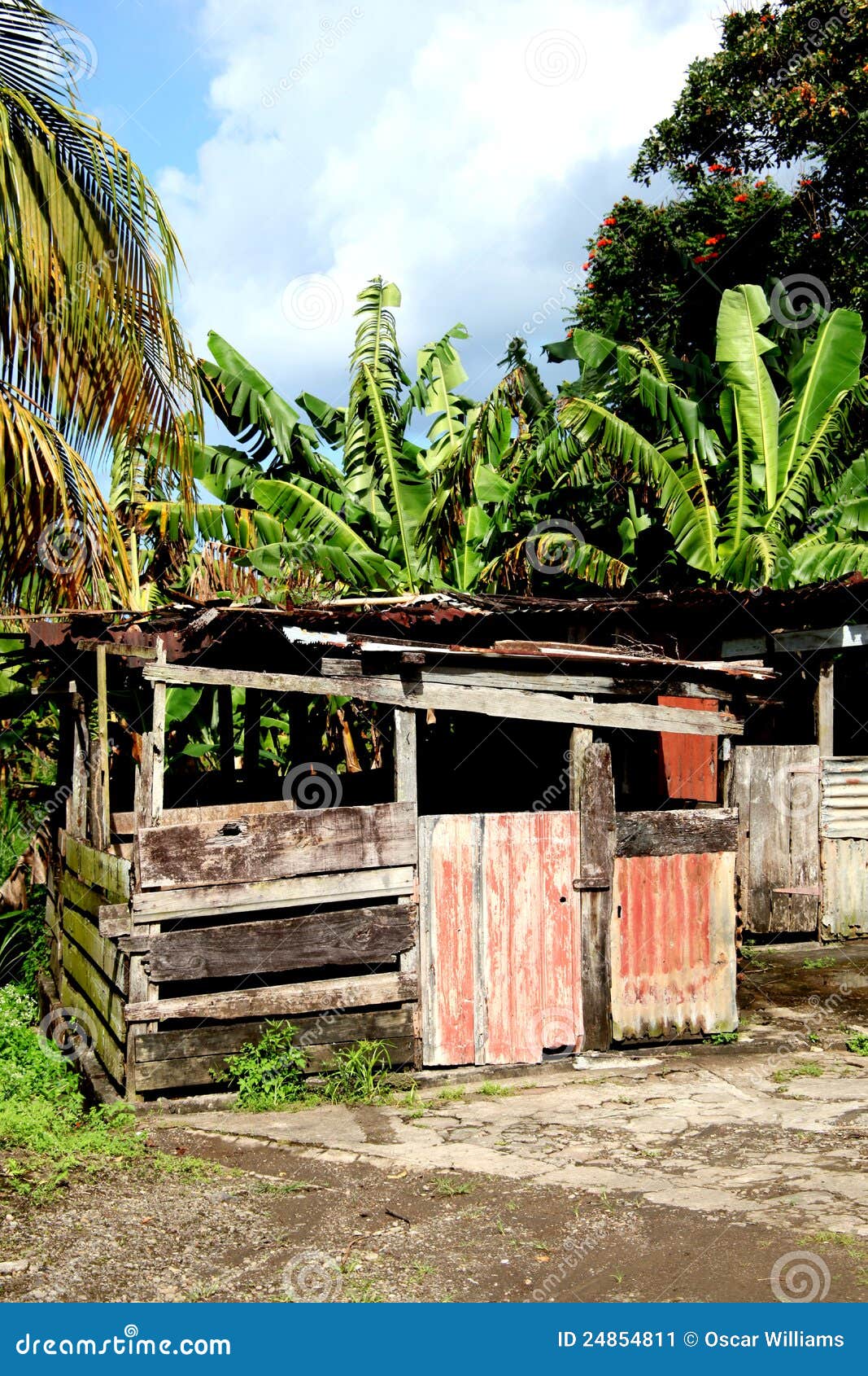 Caribbean shack. stock image. Image of shanty, home, metal - 24854811