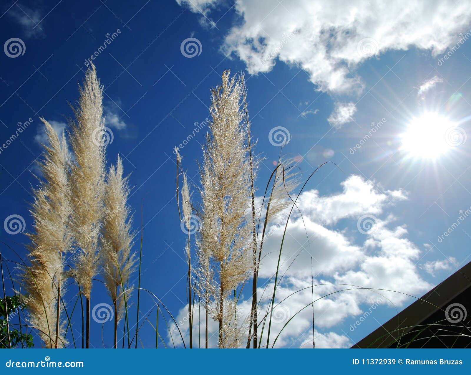 Caribbean Sun stock image. Image of clouds, beams, caribbean - 11372939