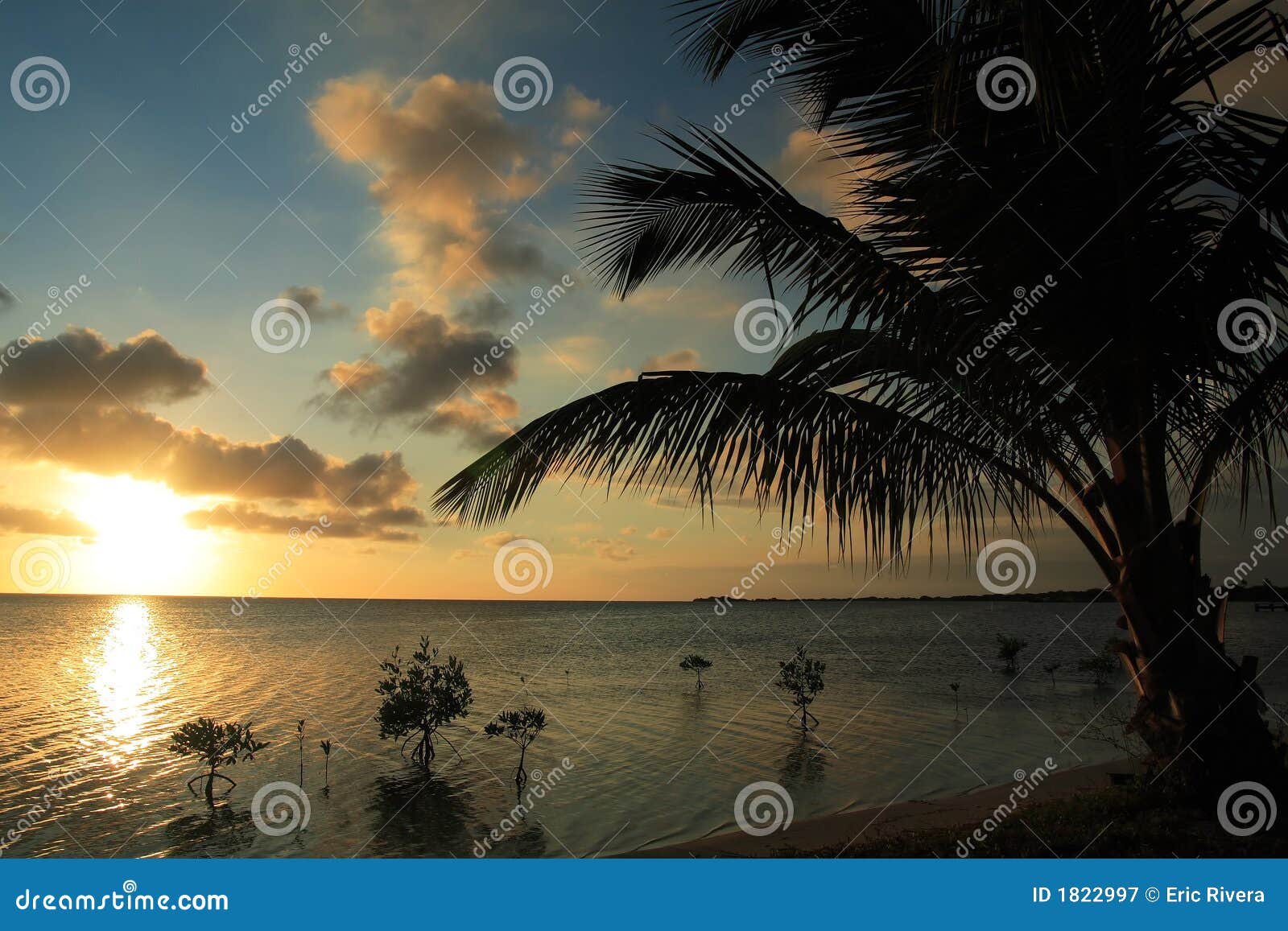 Caribbean sunset stock image. Image of marine, scene, beach - 1822997