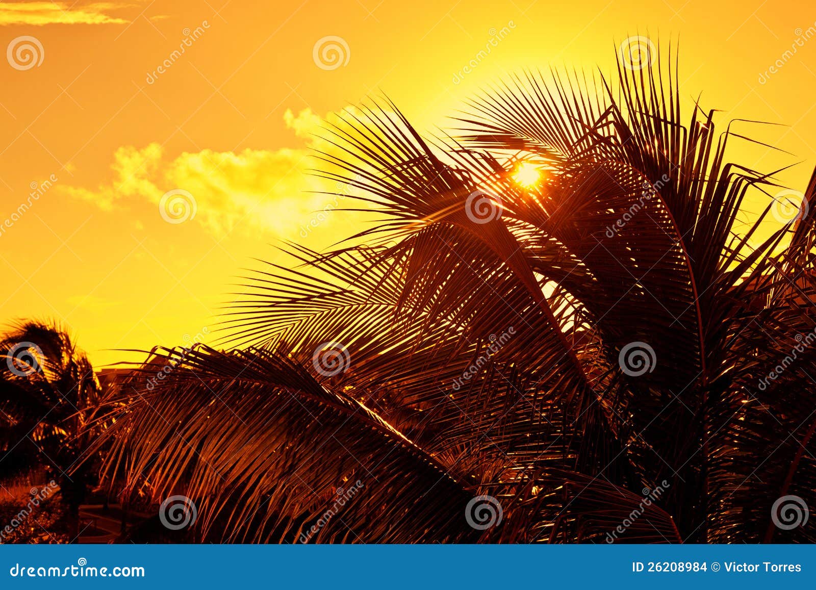 Caribbean Sunset in Mayan Riviera Stock Photo - Image of sundown ...