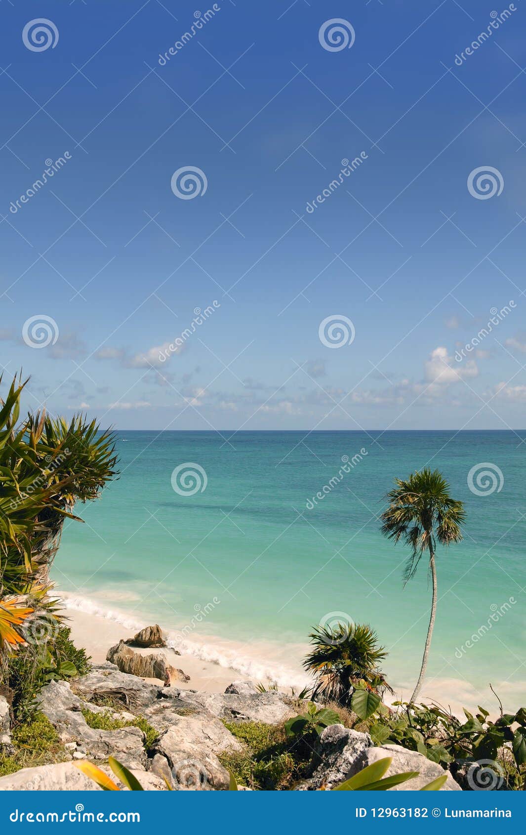 Caribbean Turquaise Sea View in Tulum Stock Photo - Image of paradise ...