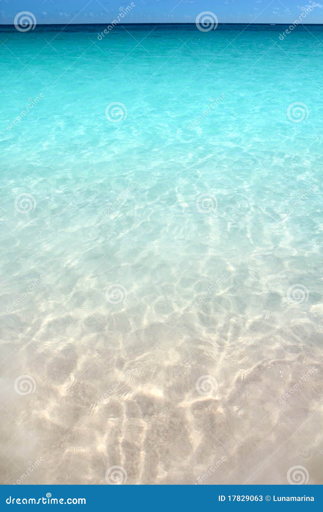 Caribbean Turquoise Sea Beach Shore Stock Image - Image of mexican ...