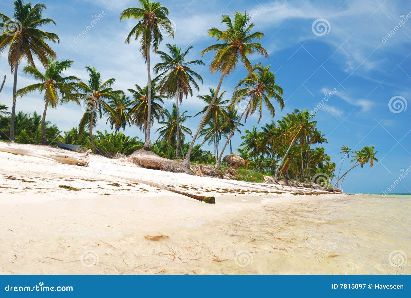 Caribbean wild beach stock image. Image of seascape, island - 7815097