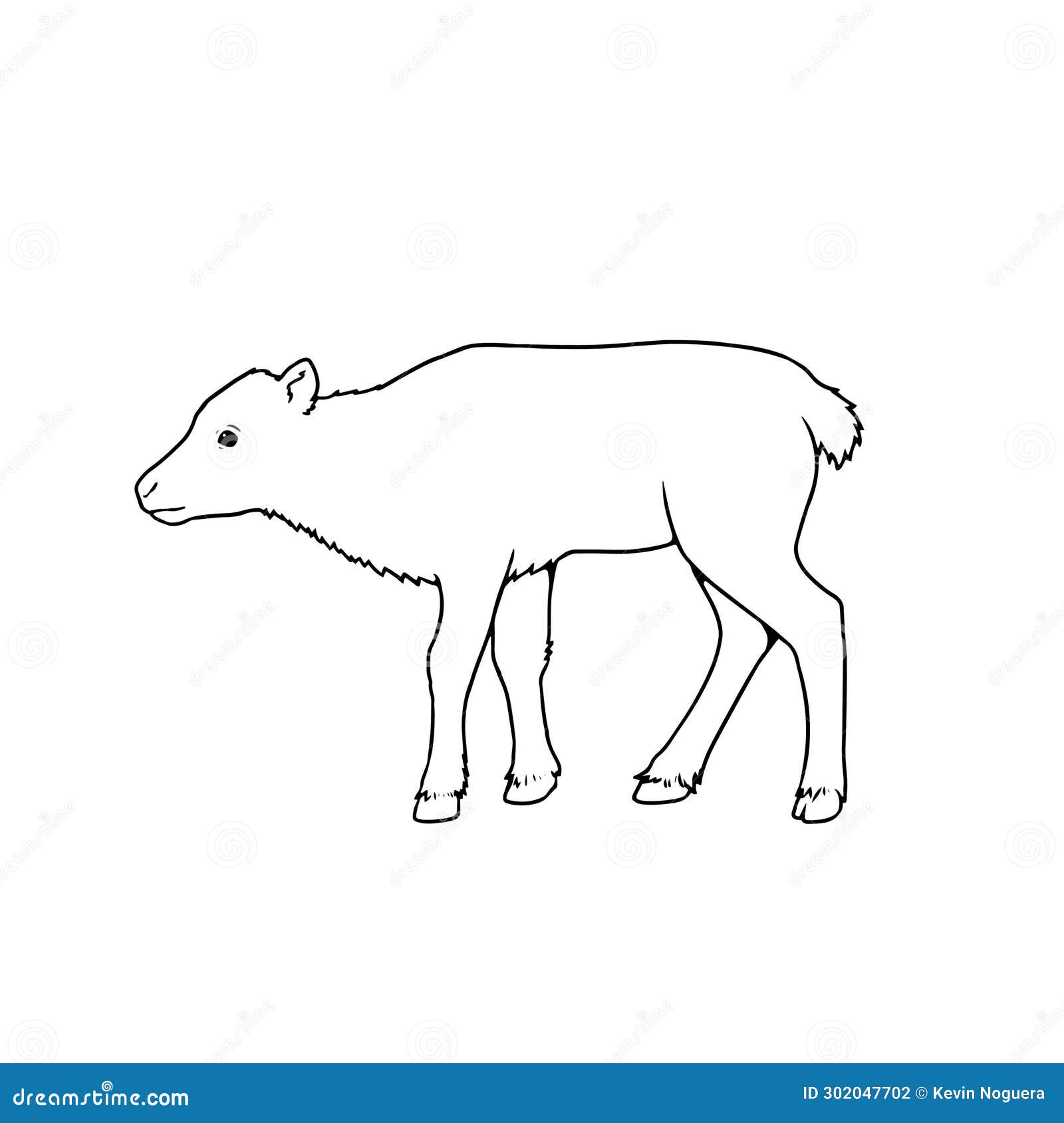 Line Drawing of a Caribou in Black and White for Coloring Vector Stock ...