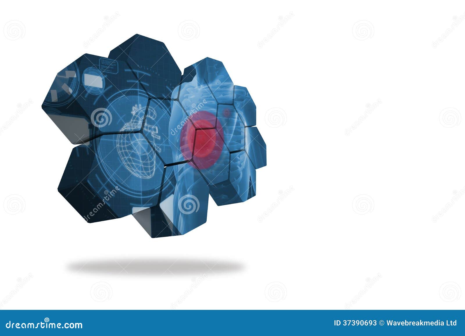 Caridac Diagram on Abstract Screen Stock Illustration - Illustration of ...