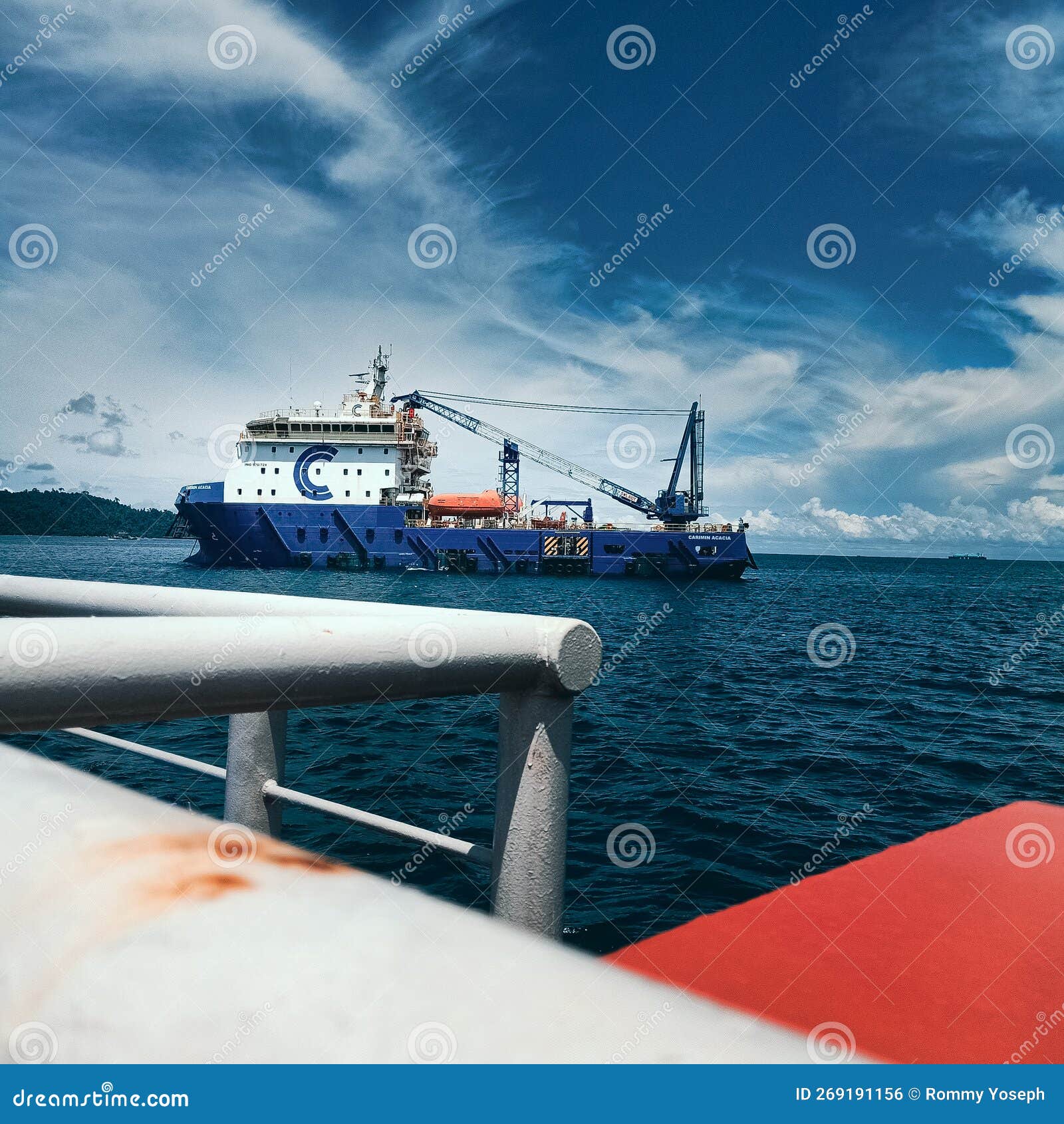 Carimin Acacia Stock Photos - Free & Royalty-Free Stock Photos from ...