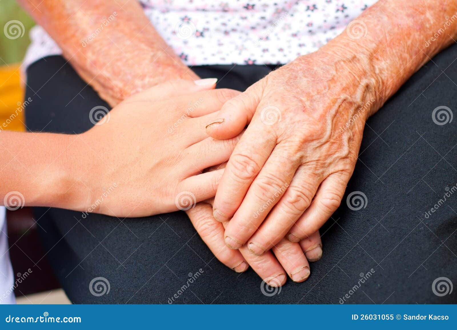 Caring stock image. Image of hand, lady, caring, young - 26031055