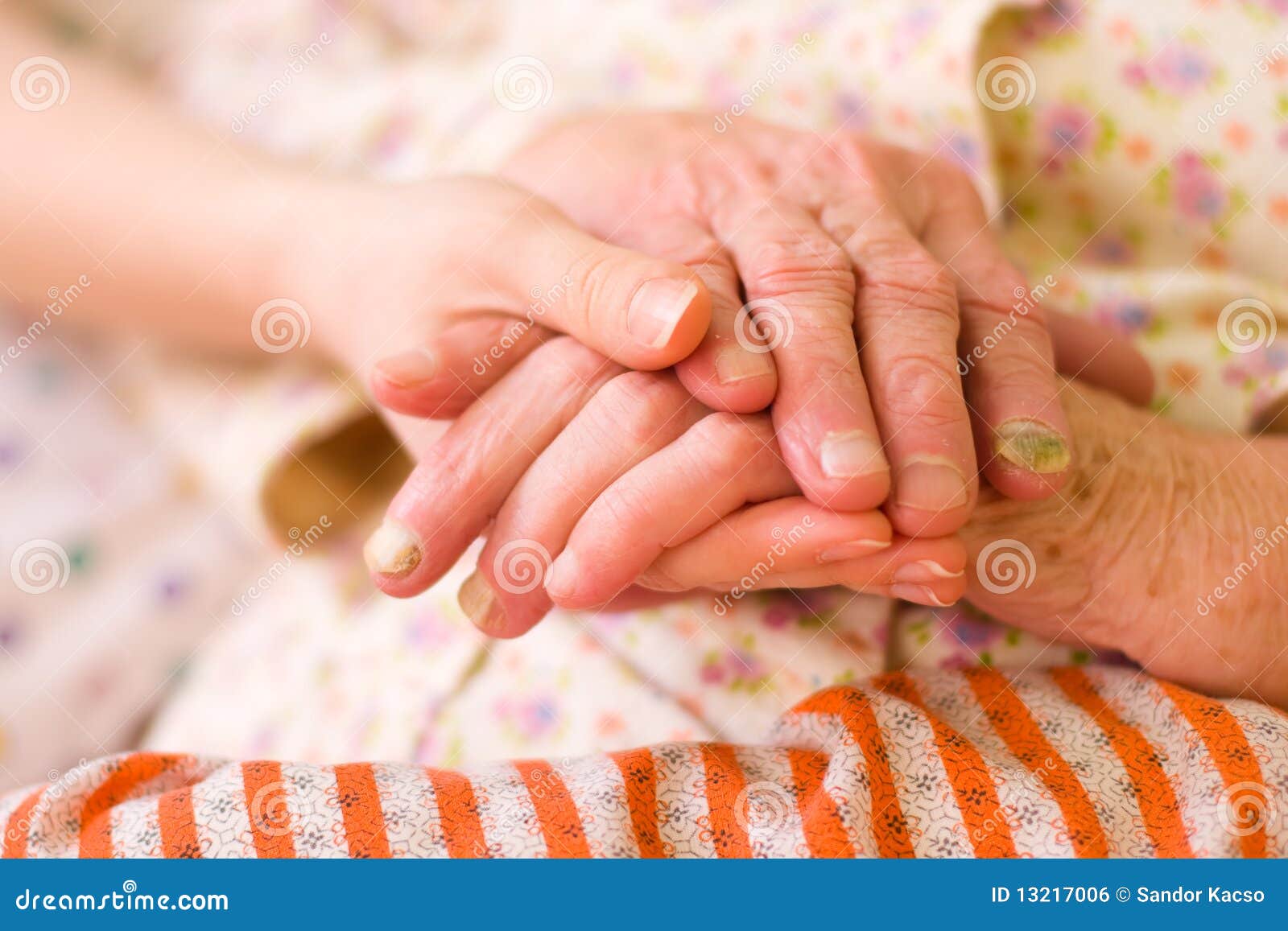 Caring Hands - Helping the Needy Stock Photo - Image of safety, hand ...