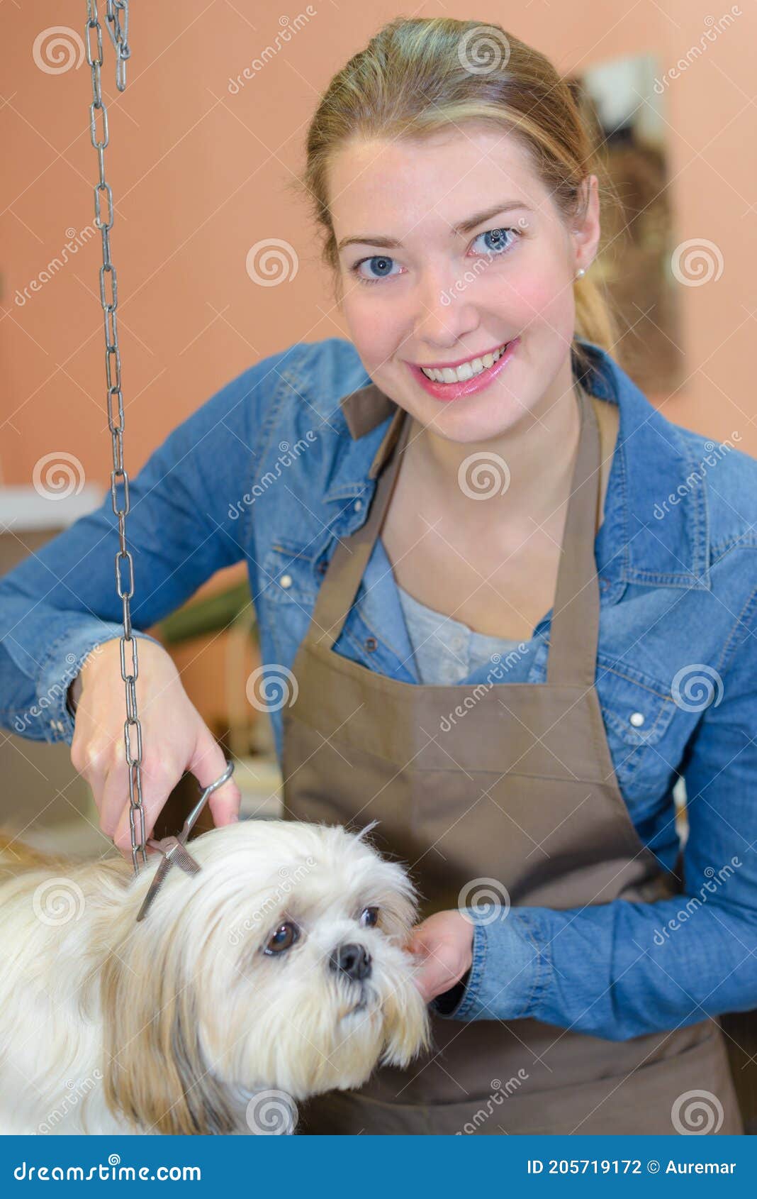 She caring for pet stock photo. Image of brush, breed - 205719172